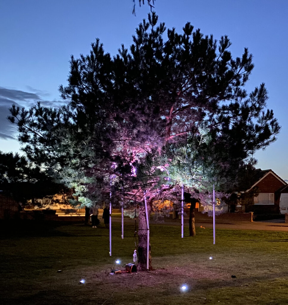 The Litten Trees - Fuel Theatre