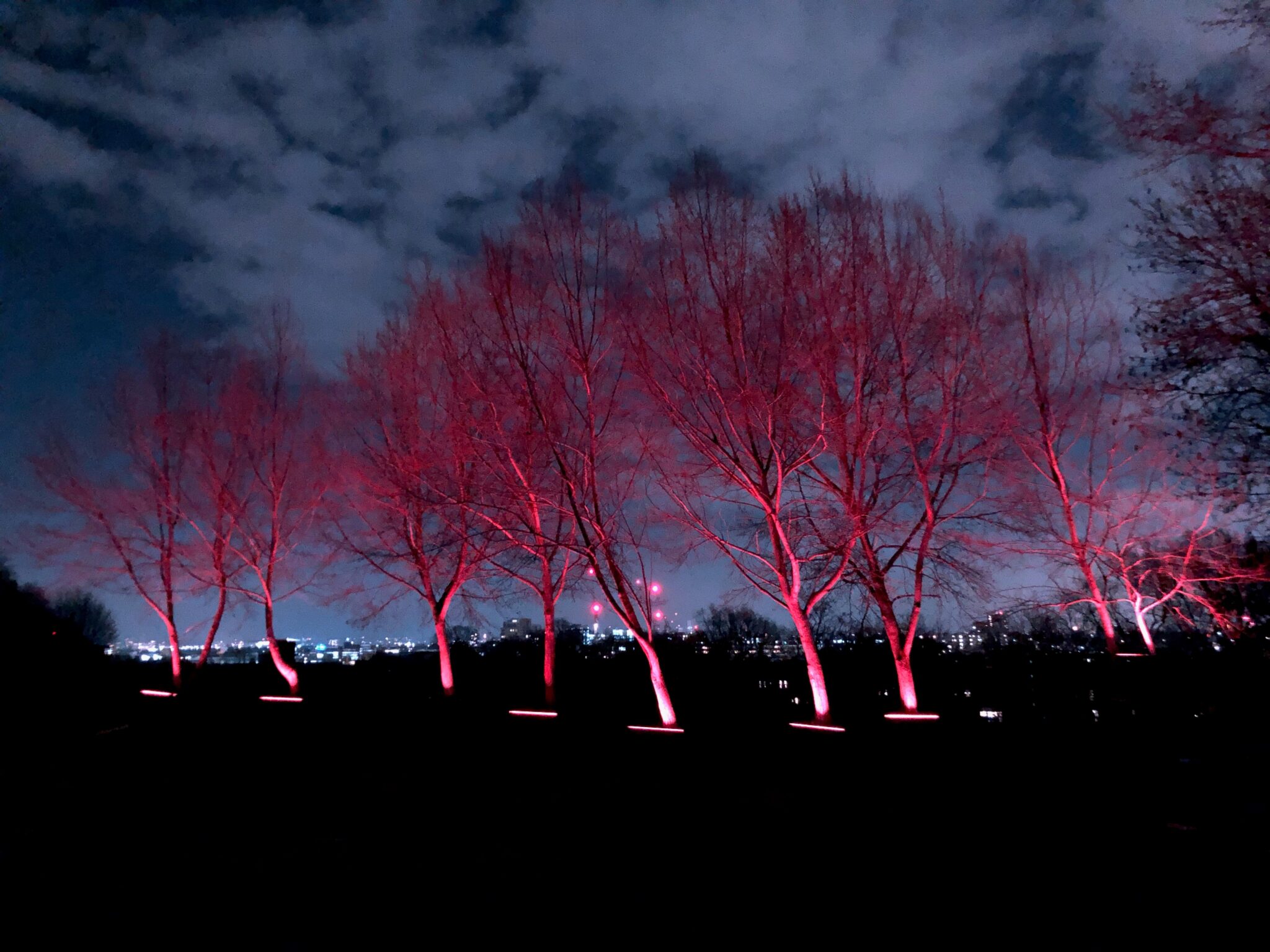 The Litten Trees - Fuel Theatre