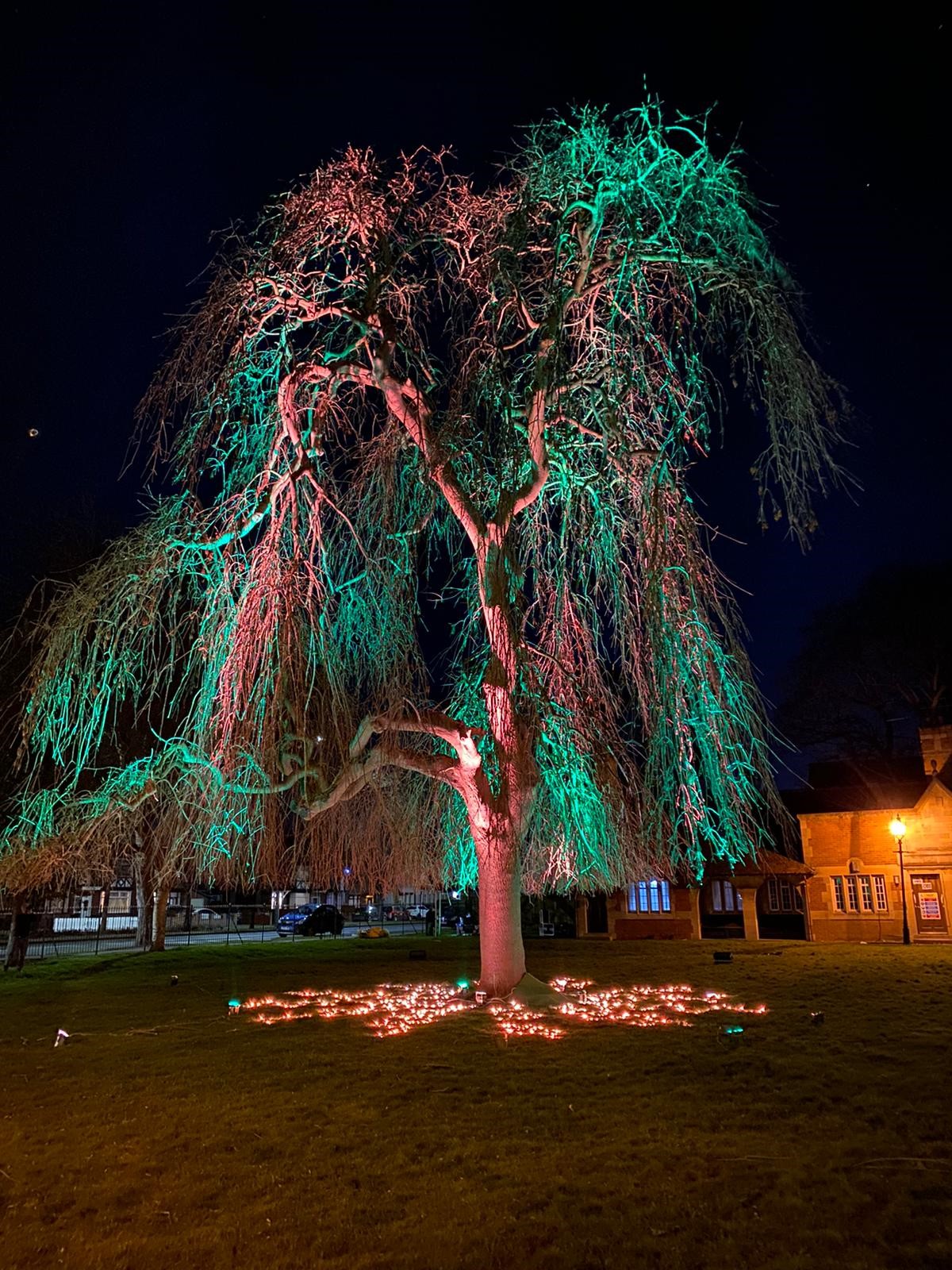 The Litten Trees - Fuel Theatre