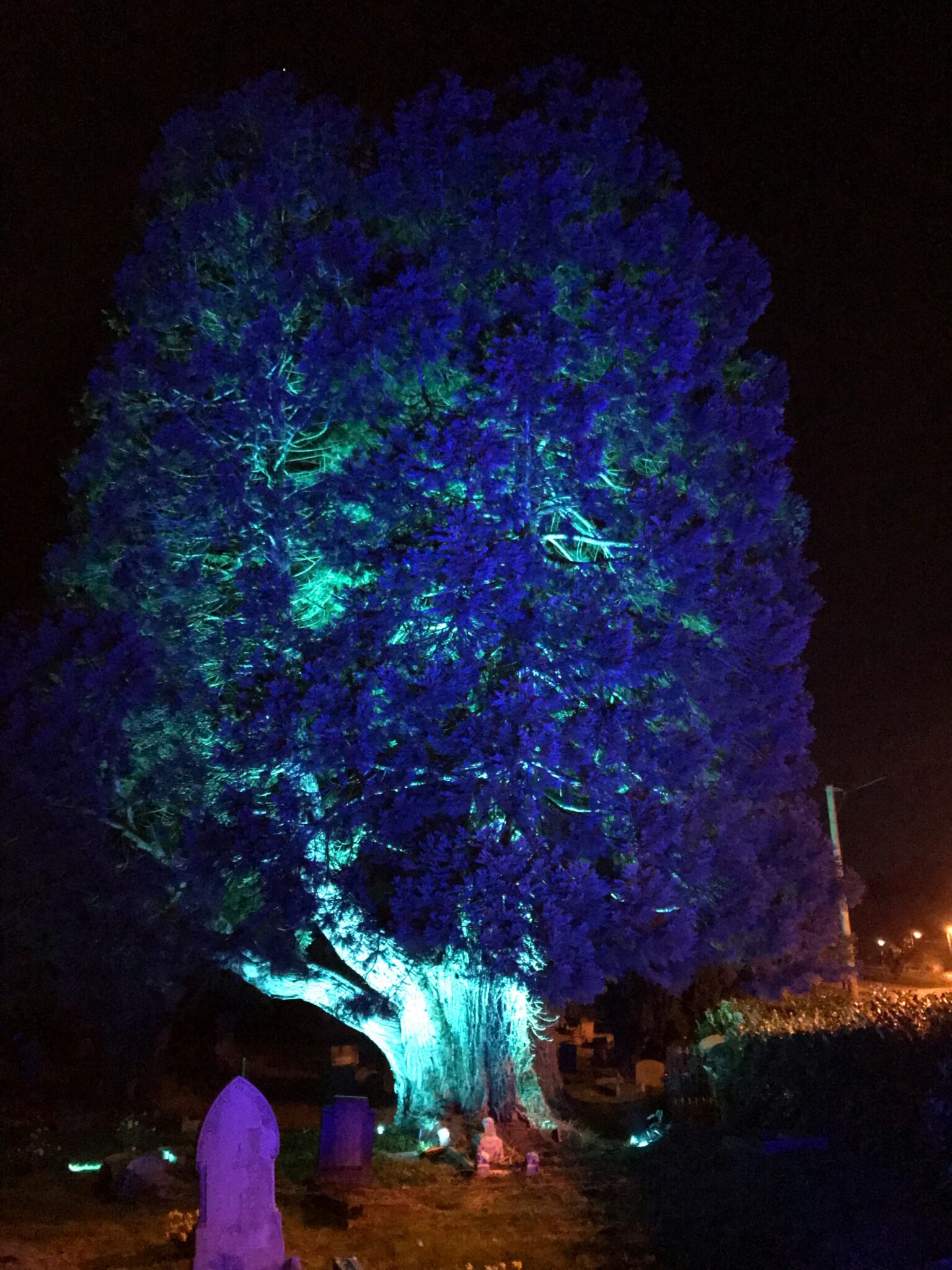 The Litten Trees - Fuel Theatre