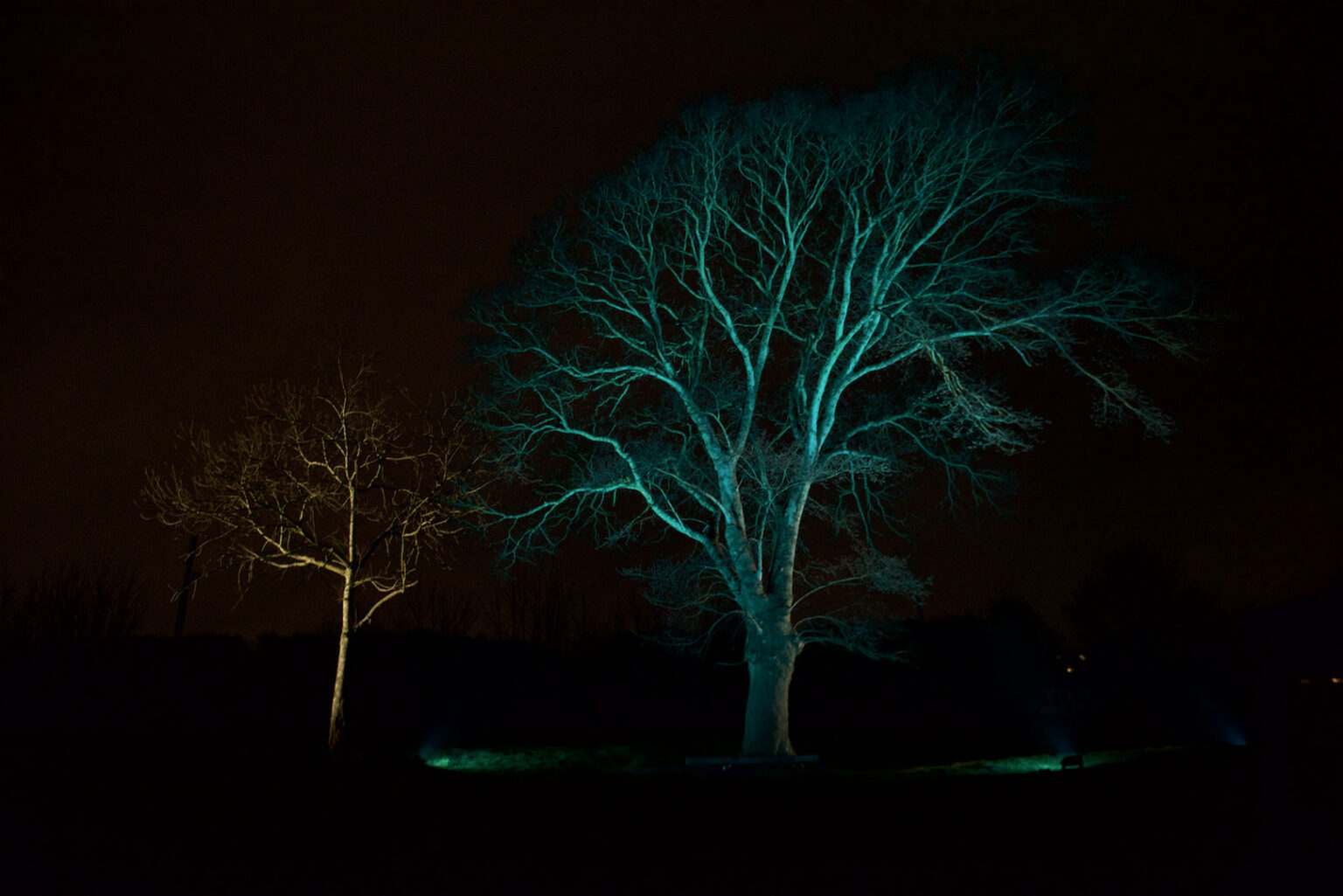 The Litten Trees - Fuel Theatre