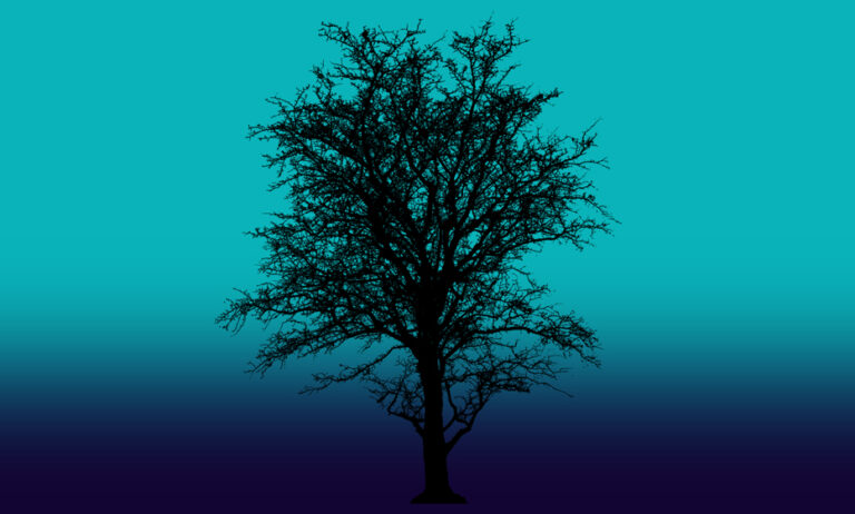 The Litten Trees - Fuel Theatre