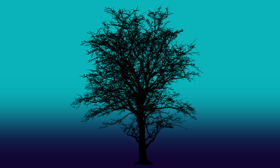 The Litten Trees - Fuel Theatre